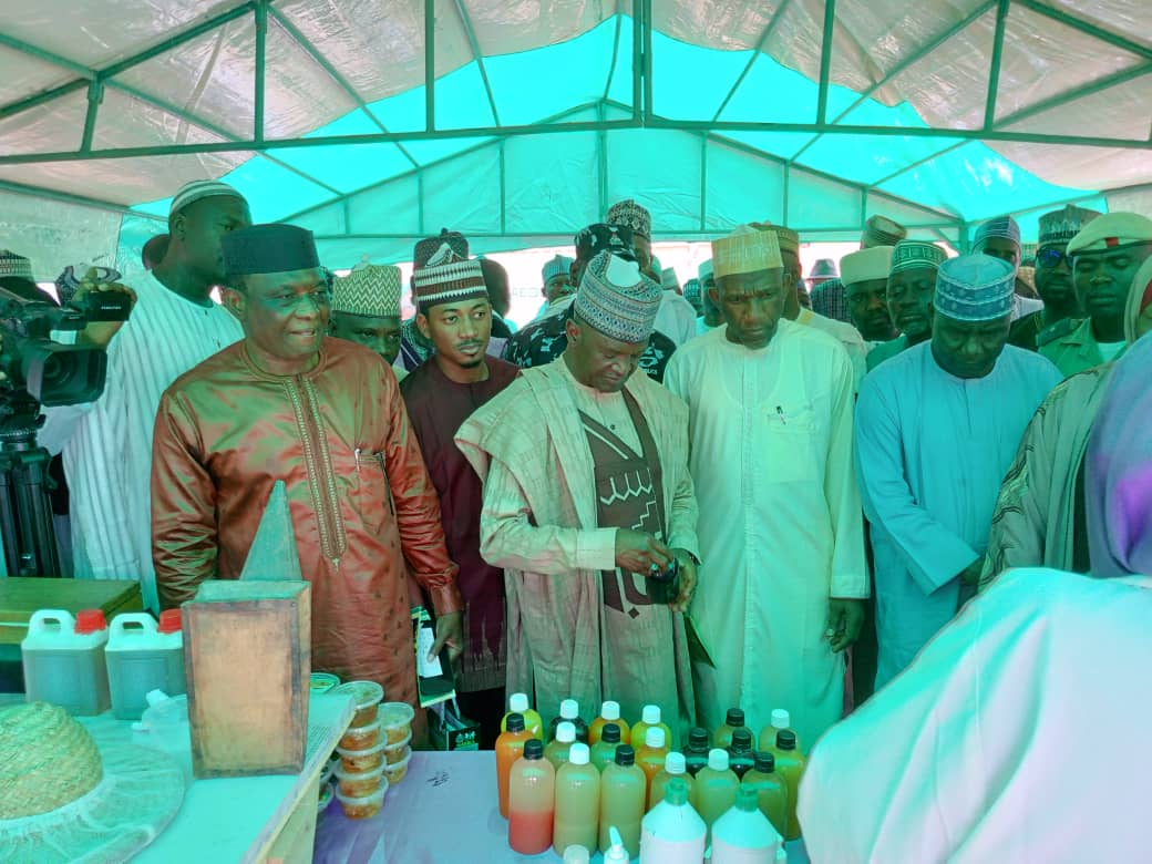 NAERLS – National Agricultural Extension and Research Liaison Services